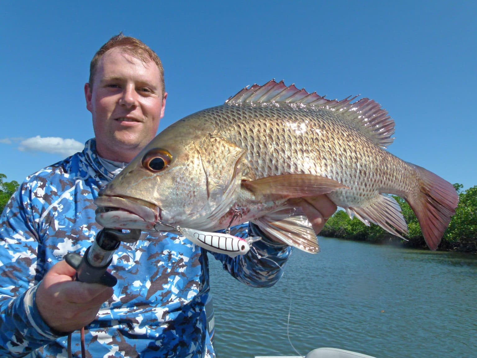 How To Catch Mangrove Jack - Hooked Up Magazine