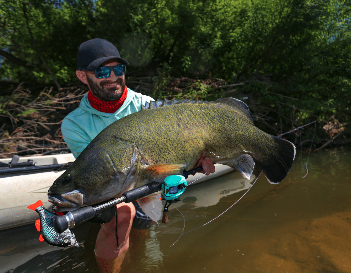 Murray Cod- How Long To Wait Between Missed Hits? - Hooked Up Magazine