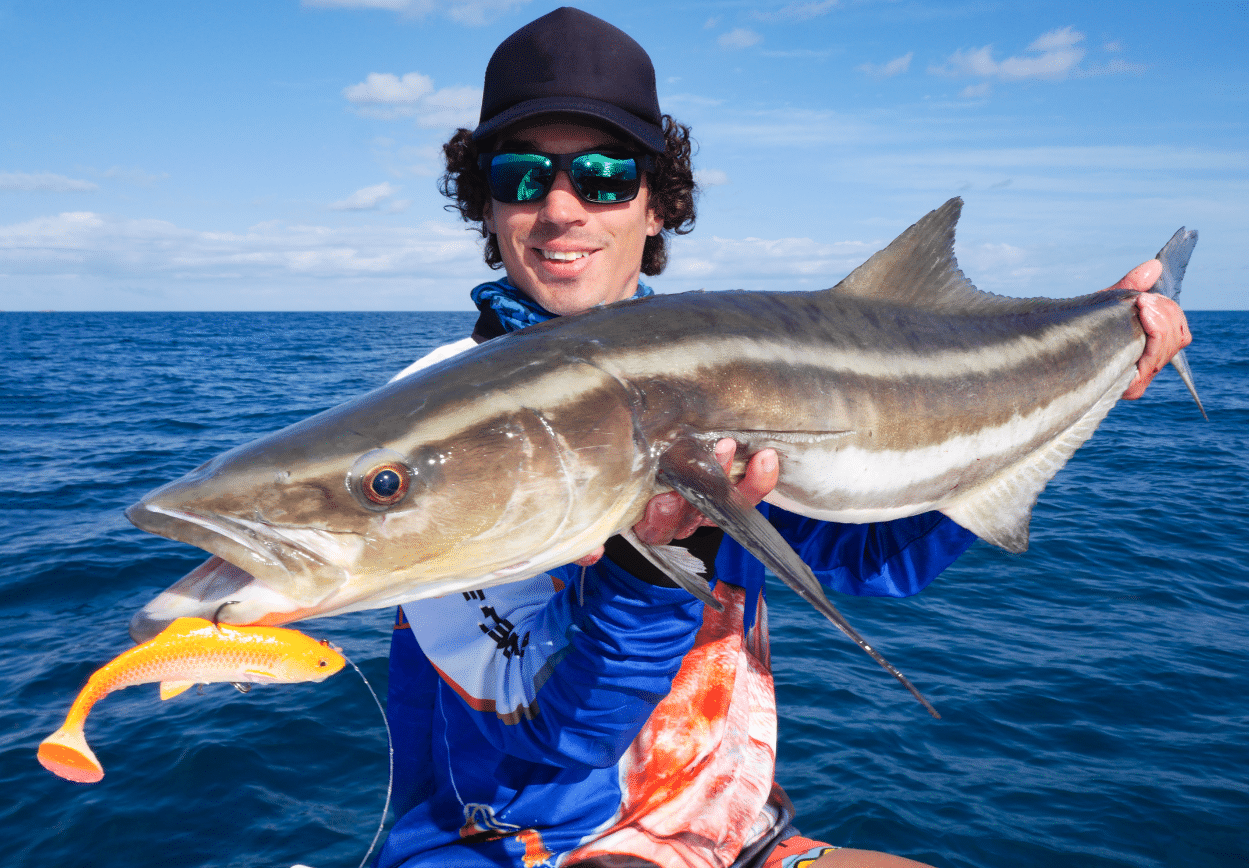 How To Catch Cobia - Hooked Up Magazine