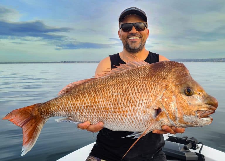 How To Catch Snapper In Port Phillip Bay - Hooked Up Magazine