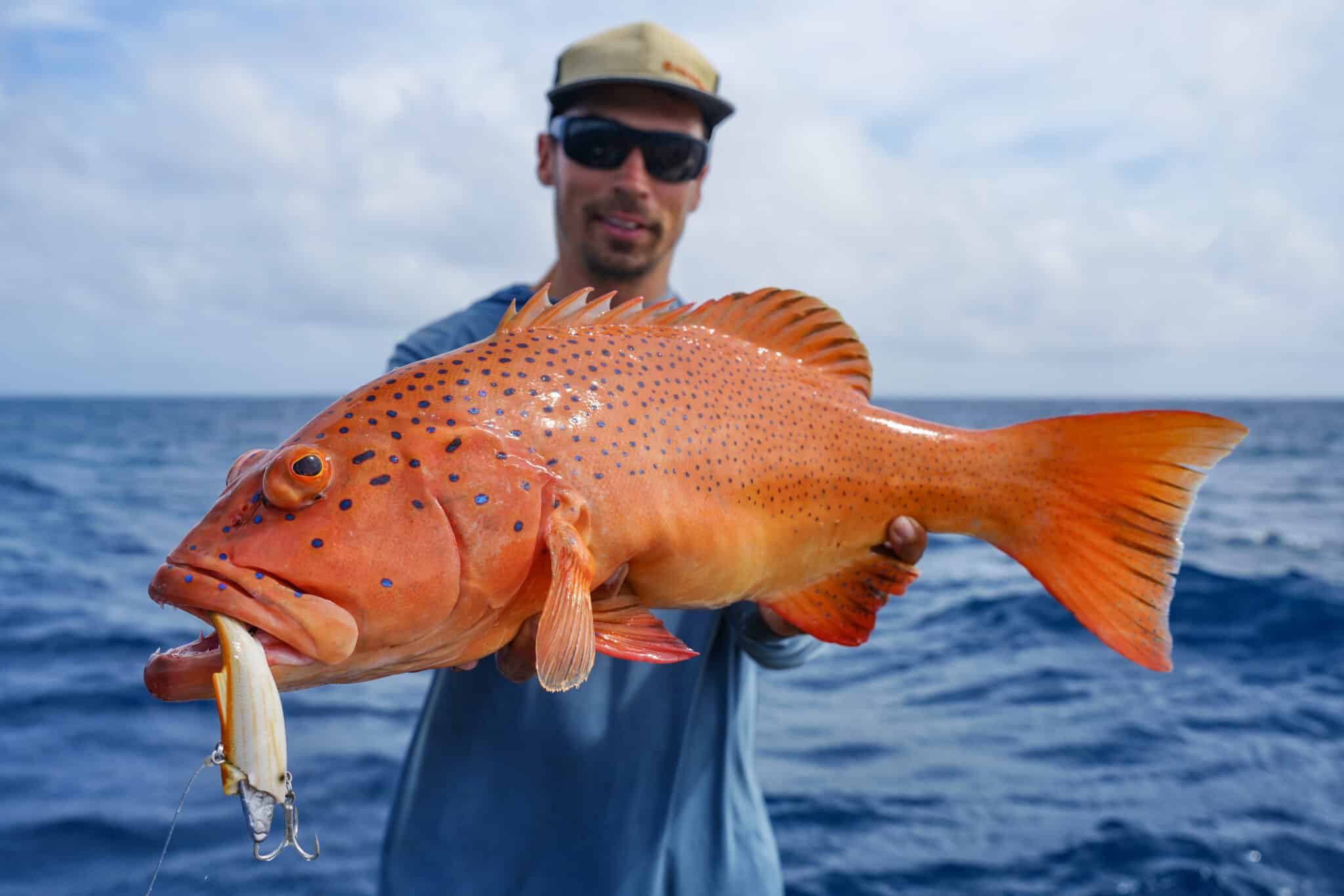 Offshore Soft Vibing - Hooked Up Magazine